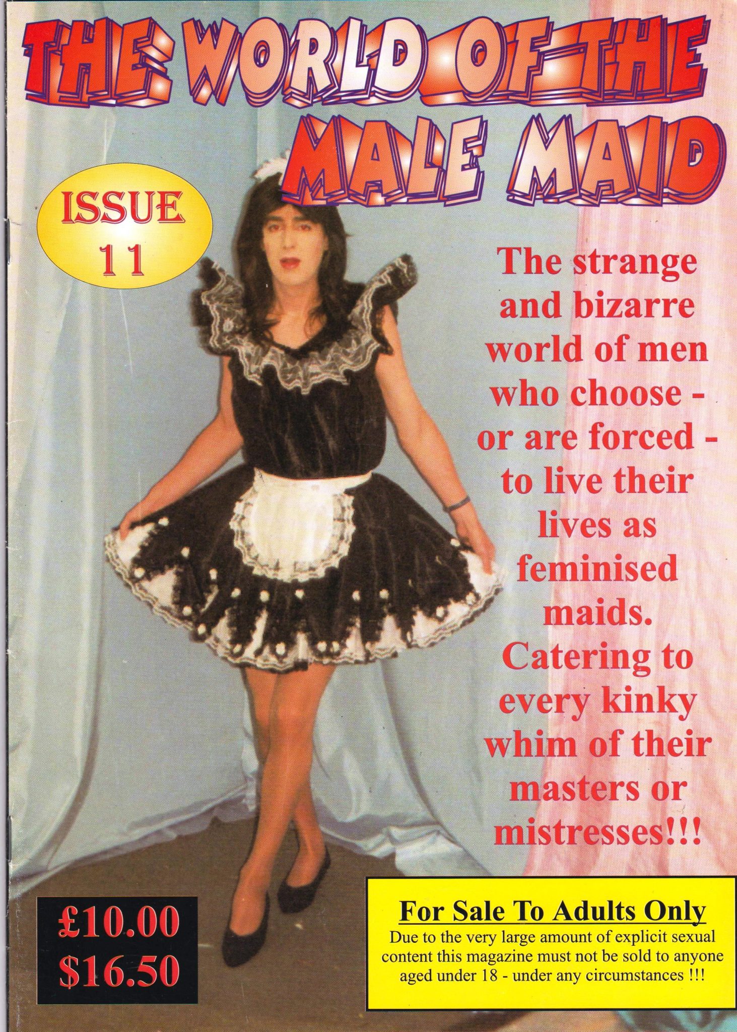The World of the Male Maid #11 Magazine TV TS Sissy French Maid Fantasy ...