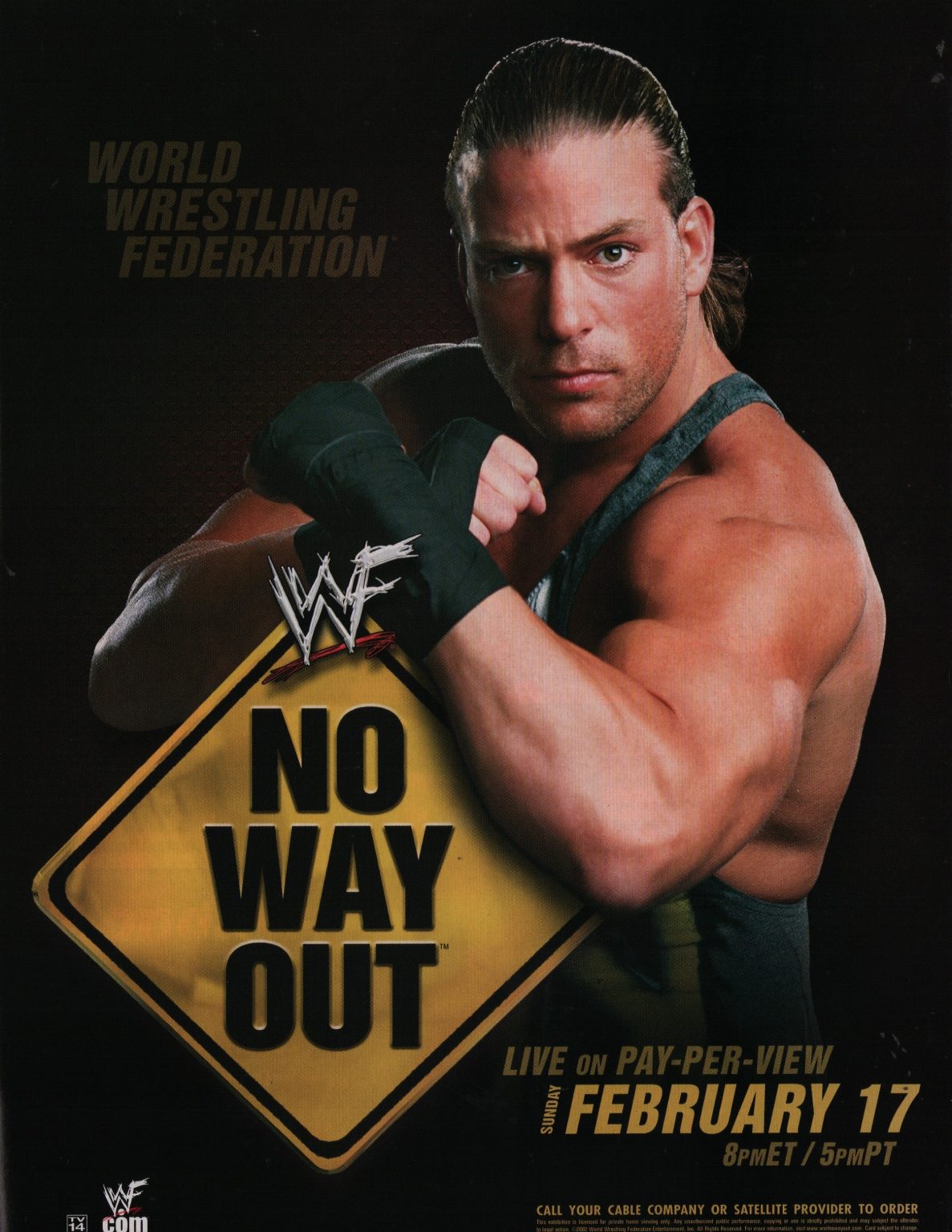 WWF Raw 02/2002 Lita Stacy Keibler Trish Stratud WWE Divas Poster ...