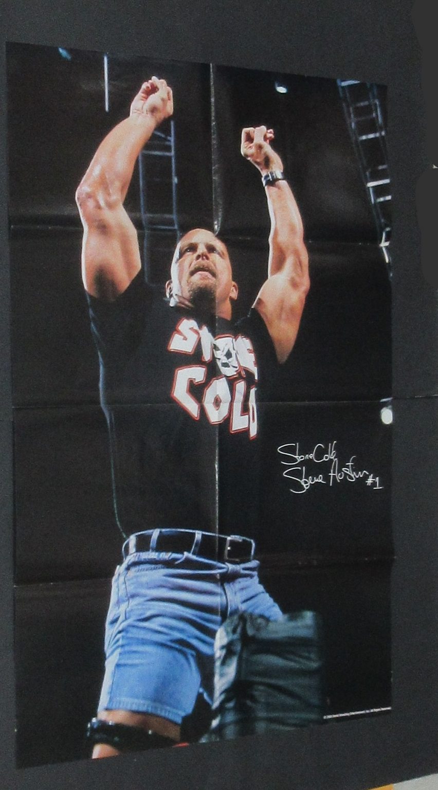 2003 WWE 10 Superstars Divas Stacy Keibler Torrie Wilson Trish Stratus ...